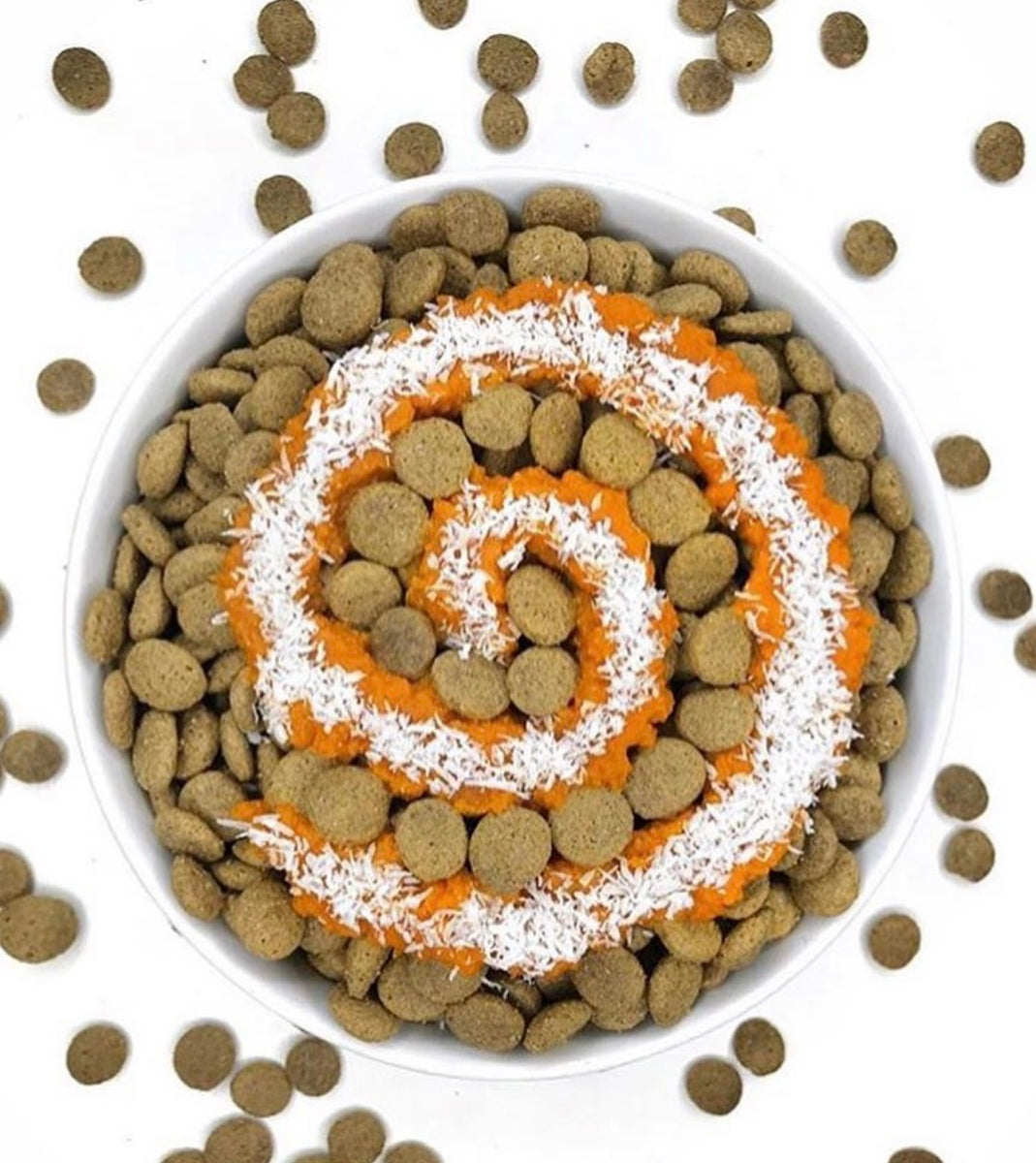 Fall v-dog kibble topper recipe .... Time to get festive!